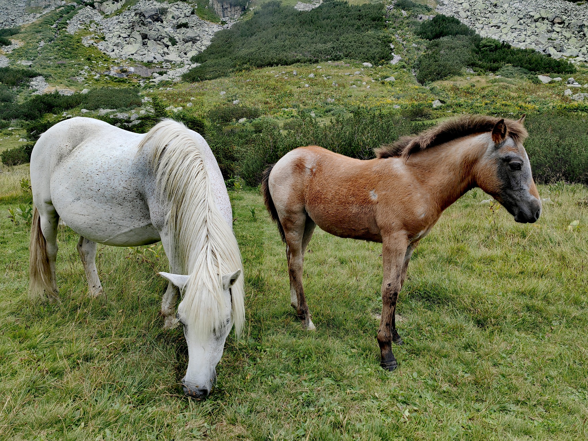 Impro Ceļojumi - Sākums
