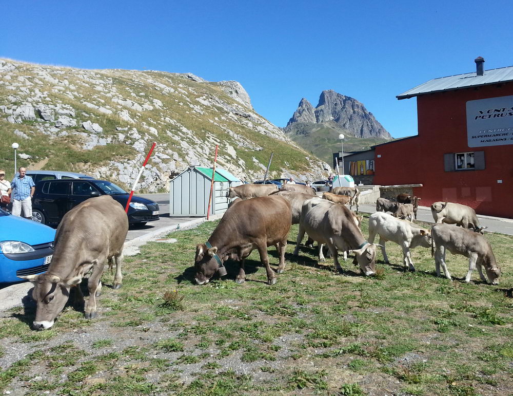 Impro Ceļojumi - BARSELONA, ANDORA, PIRENEJU KALNI UN BASKU ZEME