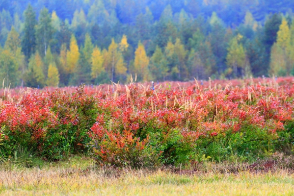 BAUDI RUDENI ZIEMEĻU PIEROBEŽĀ!