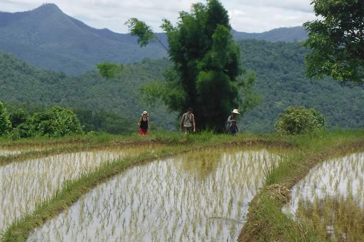 Impro Ceļojumi - CITĀDA TAIZEME KOPĀ AR HARIJU EGLIENU