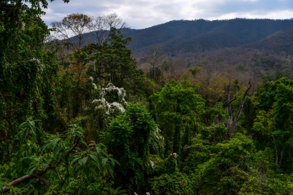 Impro Ceļojumi - CITĀDA TAIZEME KOPĀ AR HARIJU EGLIENU