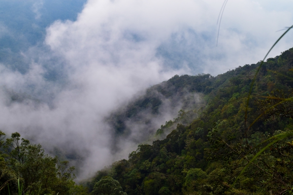 Impro Ceļojumi - CITĀDA TAIZEME KOPĀ AR HARIJU EGLIENU