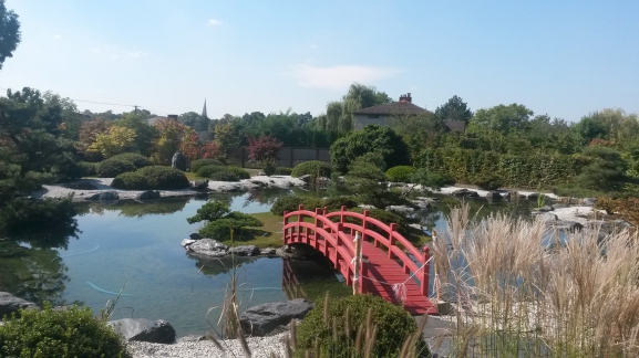 IZBAUDI BESKĪDU AINAVAS UN POĻU DĀRZUS