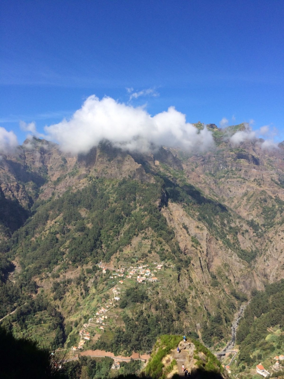 MADEIRAS KALNI UN LEVADAS ZIEDU FESTIVĀLA LAIKĀ