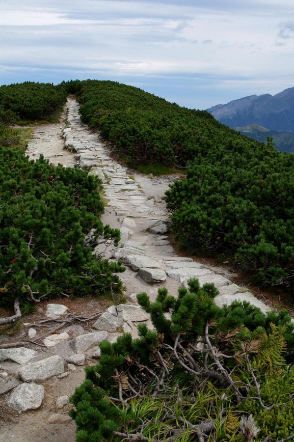 PA BESKIDU UN TATRU KALNU TAKĀM POLIJĀ