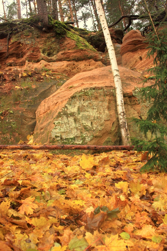RUDENS NOSKAŅĀS KAZU GRAVĀ UN VAIVES IELEJĀ