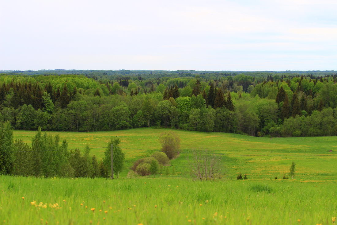 Impro Ceļojumi - VIDZEMES AUGSTIENE GARDĒŽIEM KOPĀ AR INESI ROZI